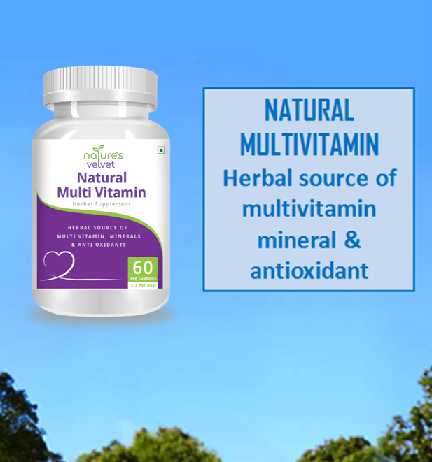 Natural Multivitamins, Minerals and Antioxidants – Naturesvelvet